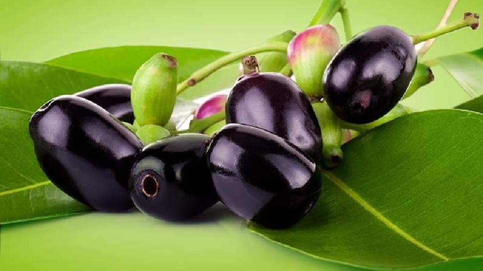 ประโยชน์ต่อสุขภาพของ Black Plum Jamun ke Fayde ในการลดน้ำหนักฟันเบาหวาน ...